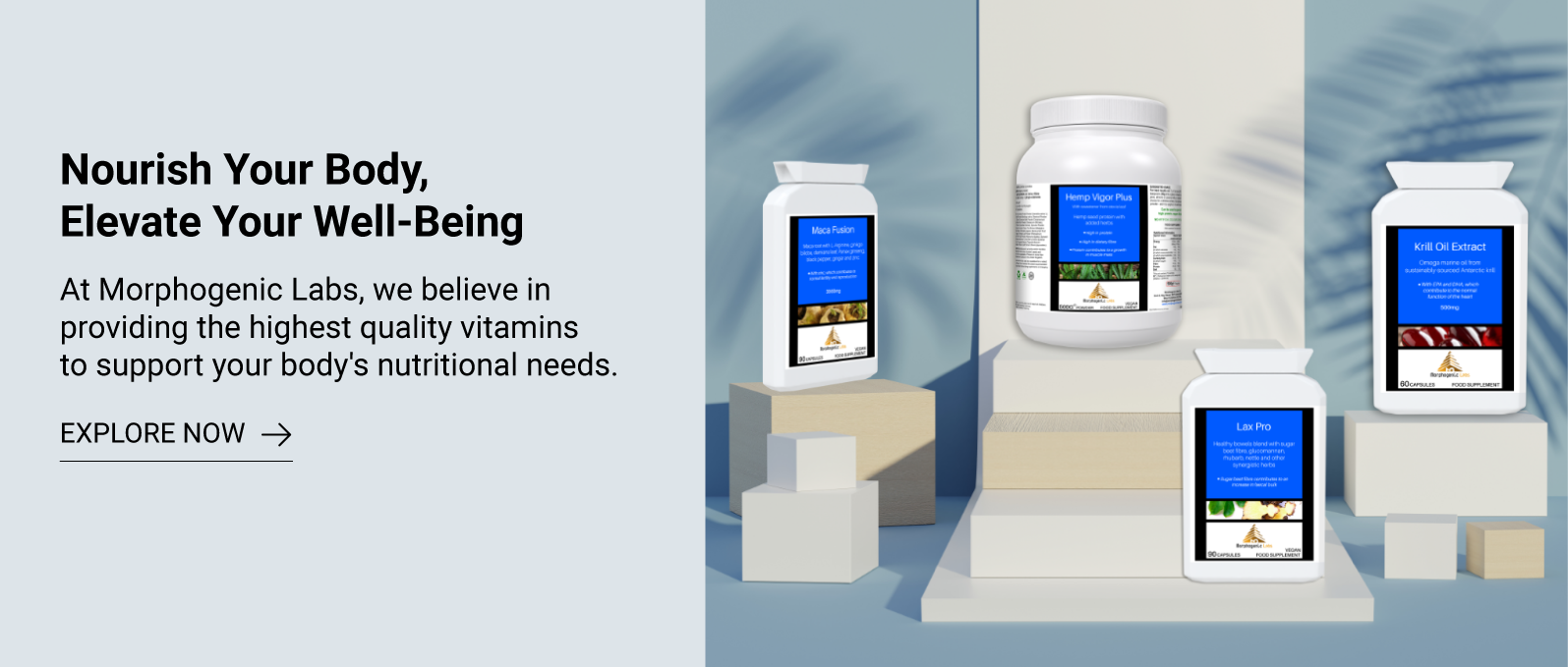 Morphogenic Labs | Morphogenic Labs